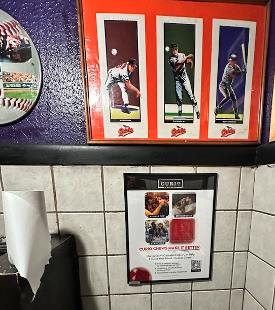 Curio Wellness, MD - 2023